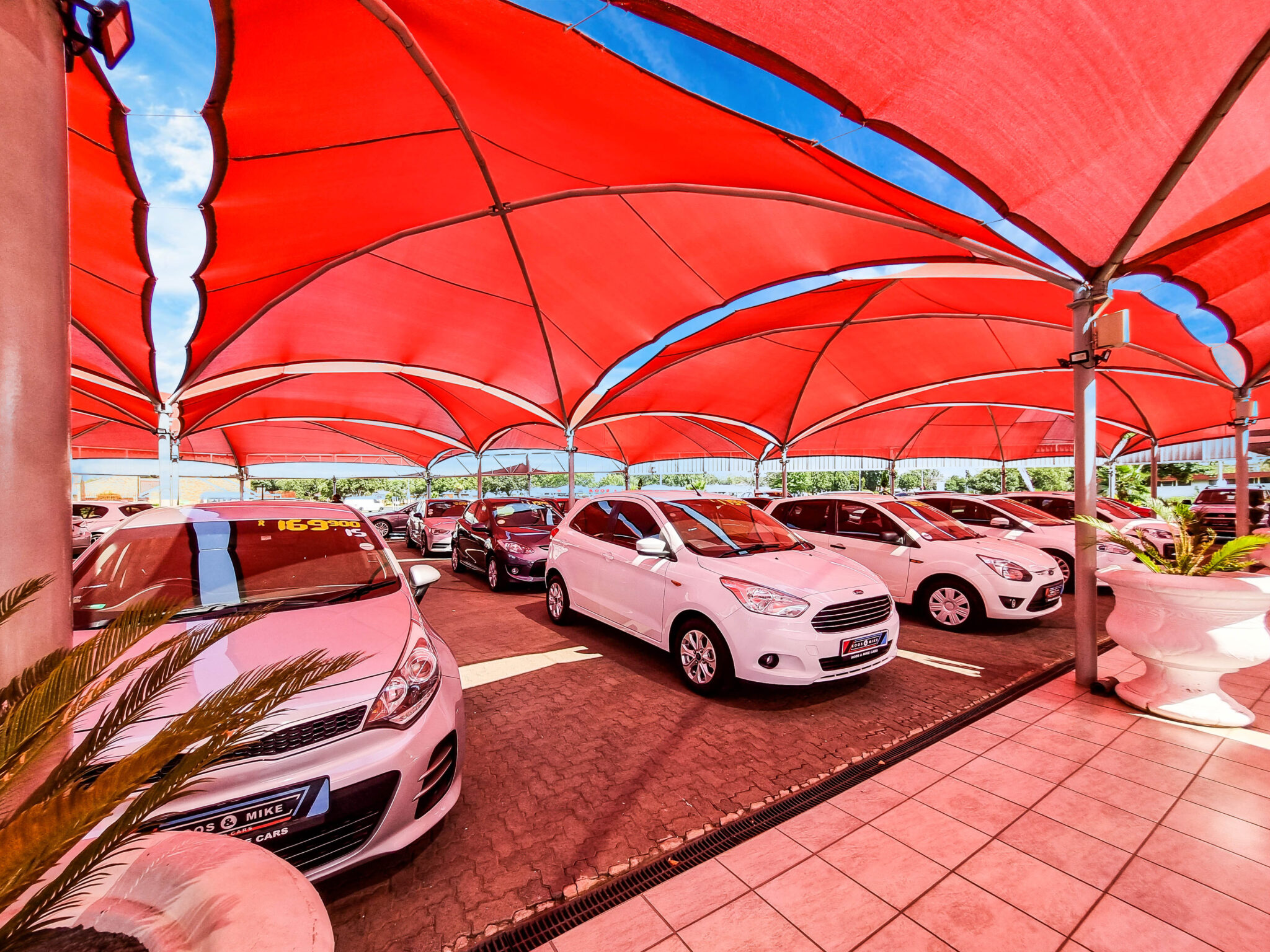 Gallery - Koos and Mike