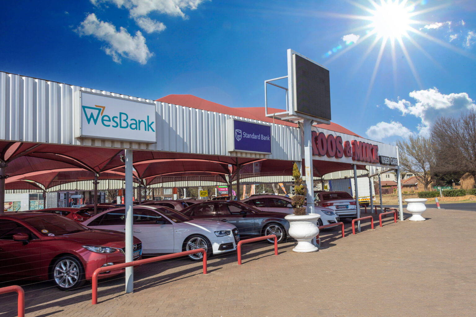 Gallery - Koos and Mike