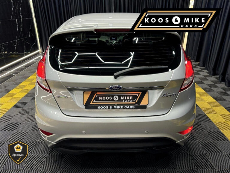 FORD FIESTA 1.0 ECOBOOST TITANIUM POWERSHIFT - Koos and Mike