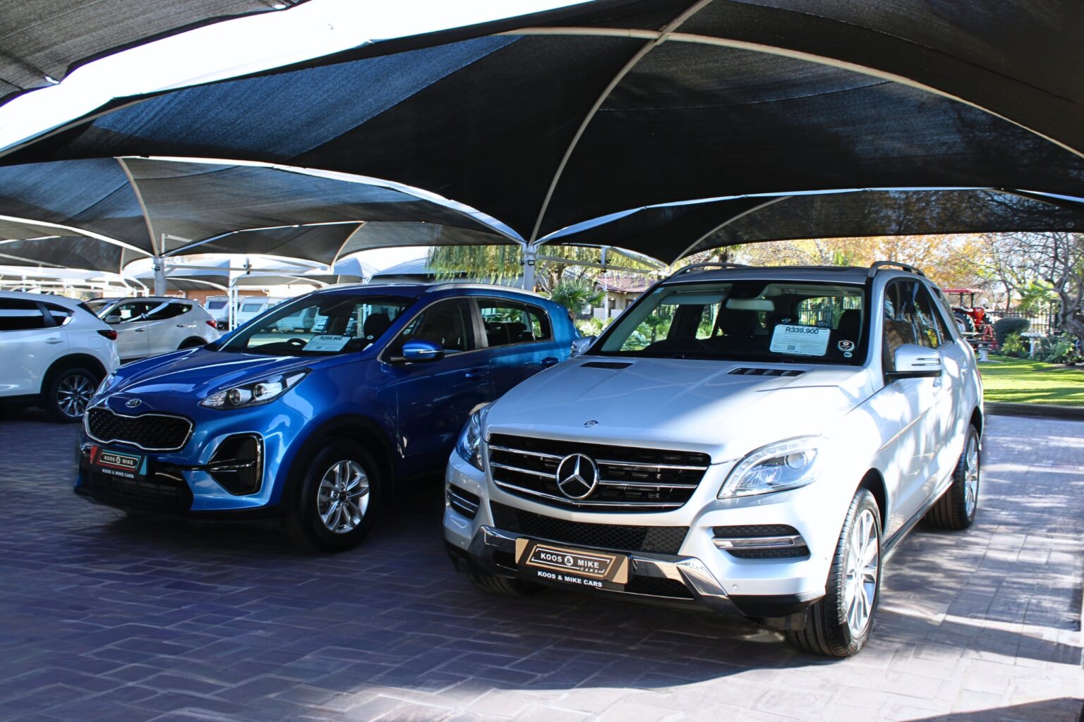 Gallery - Koos and Mike